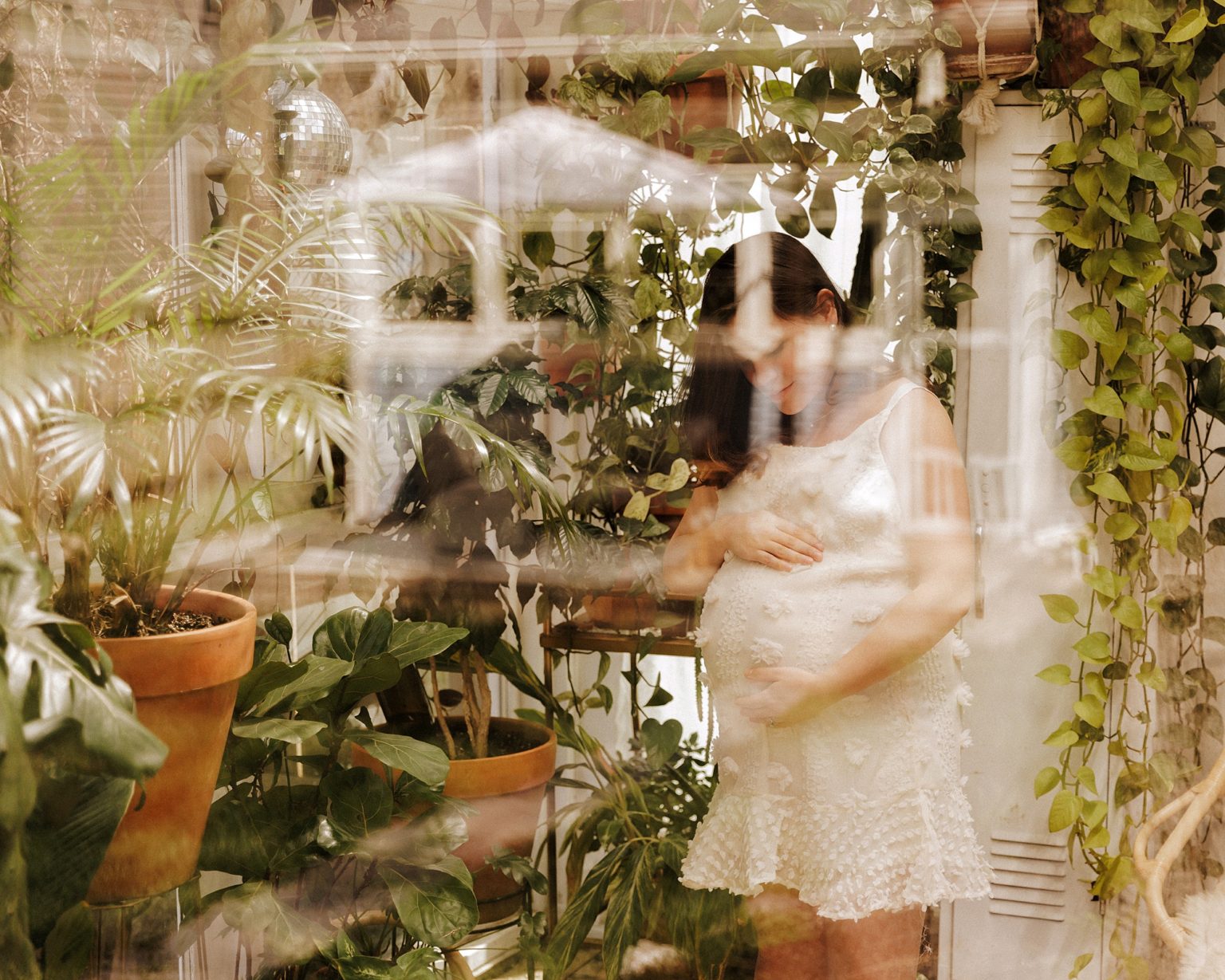 East Nashville Maternity Photography | Greenhouse Mini Session | Ashley ...